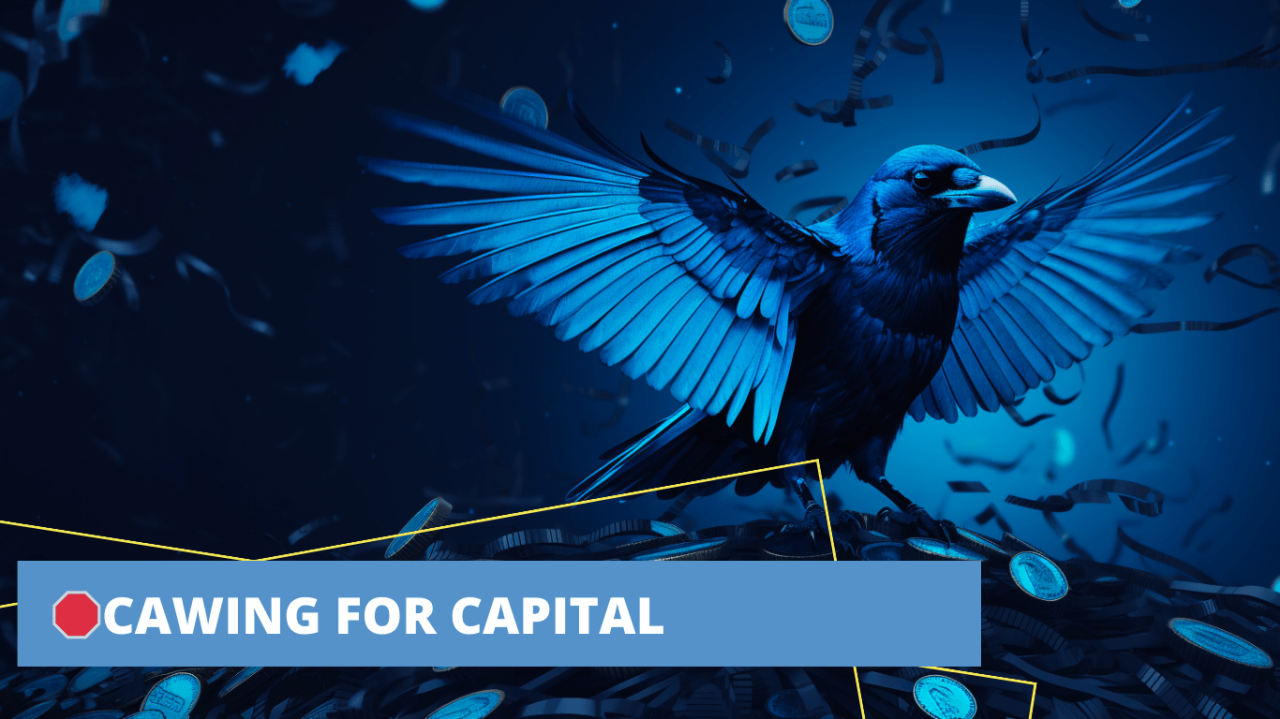🛑 CAWING FOR CAPITAL - ISSUE #432 🛑 CAWING FOR CAPITAL - ISSUE #432