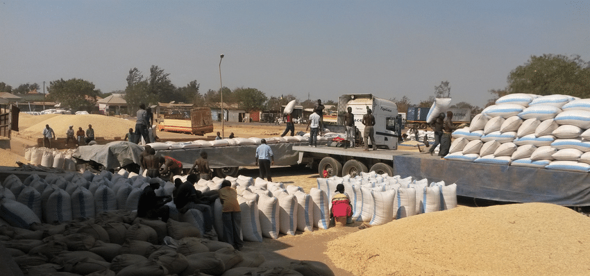 Exploring Middlemen's Roles in Tanzanian Agriculture and Lessons from ... Exploring Middlemen's Roles in Tanzanian Agriculture and Lessons from ...