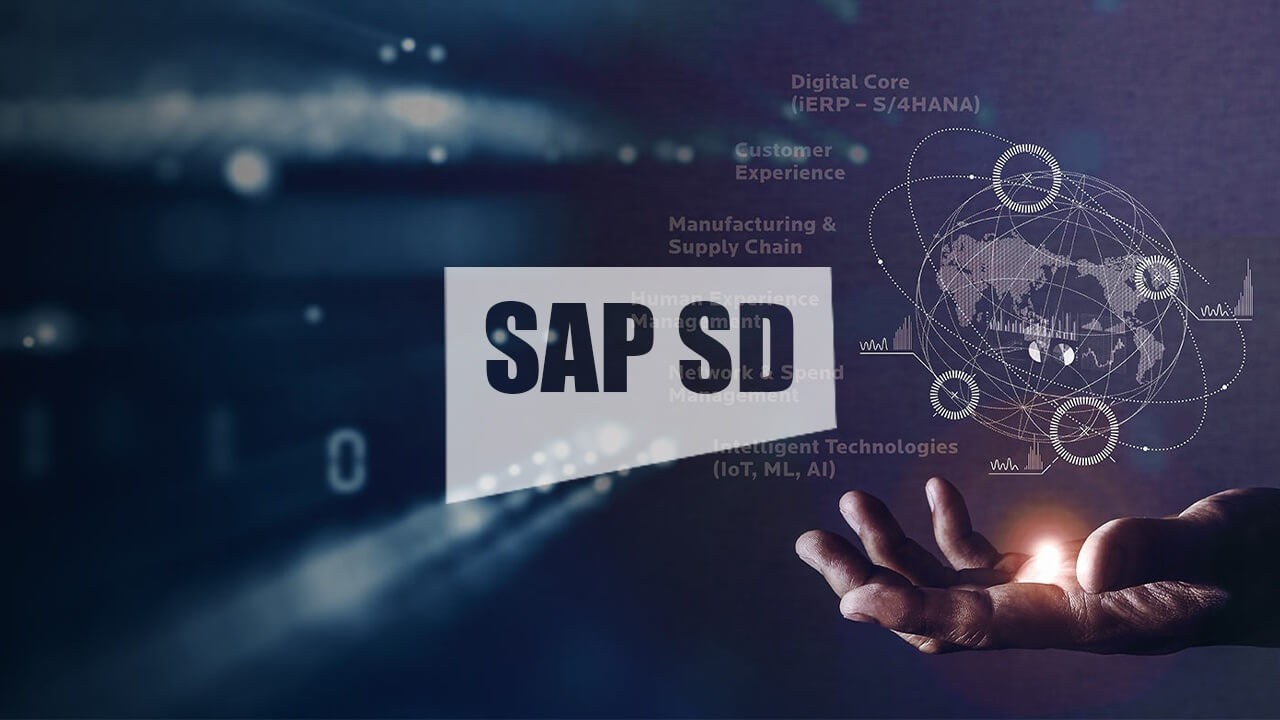 SAP SD Business Analyst (Financial Services) - Freelance SAP SD Business Analyst (Financial Services) - Freelance