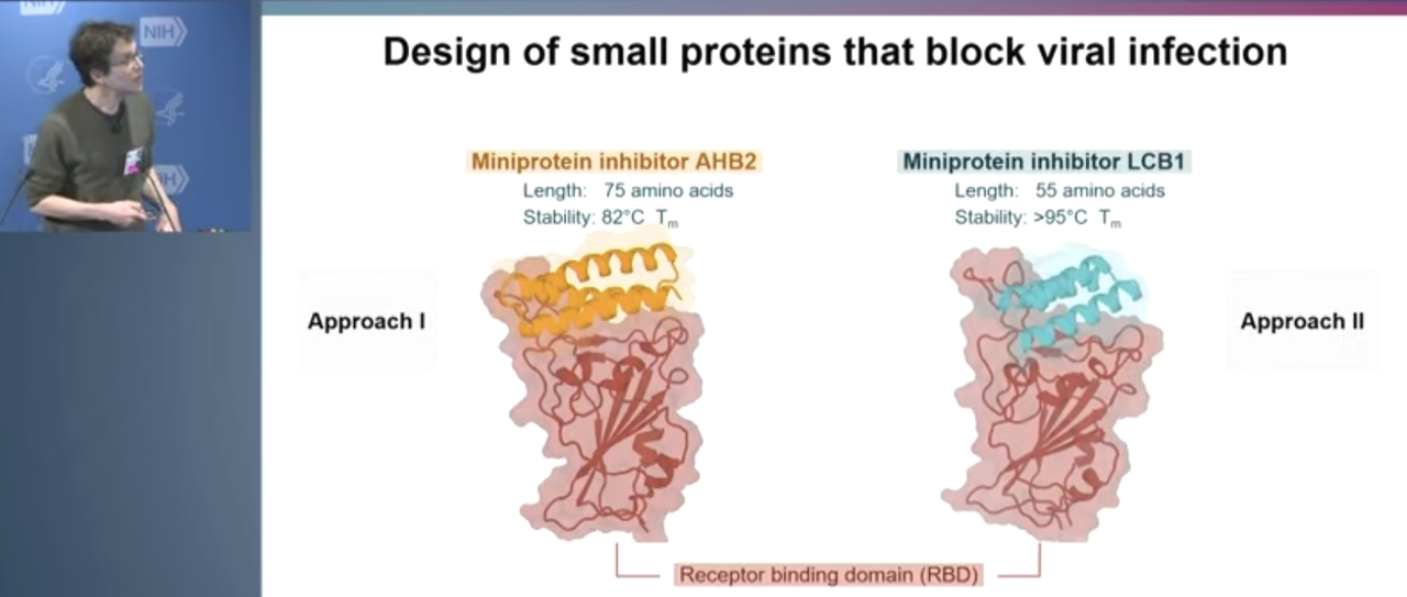 AI-mediated design of small proteins that interfere with virus infection: AI-mediated design of small proteins that interfere with virus infection: