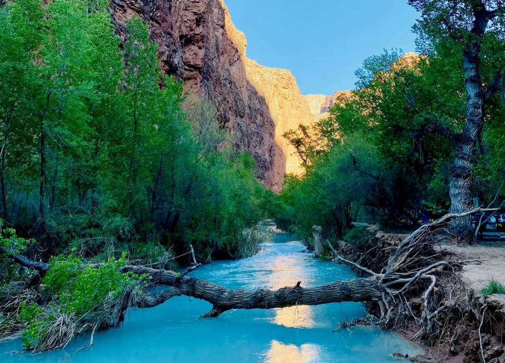 Finding Peace in Turbulent Times: Lessons from a Hike to Havasu Falls Finding Peace in Turbulent Times: Lessons from a Hike to Havasu Falls