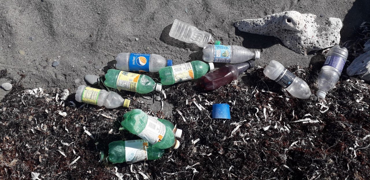 The Global Battle Against Plastic Pollution The Global Battle Against Plastic Pollution