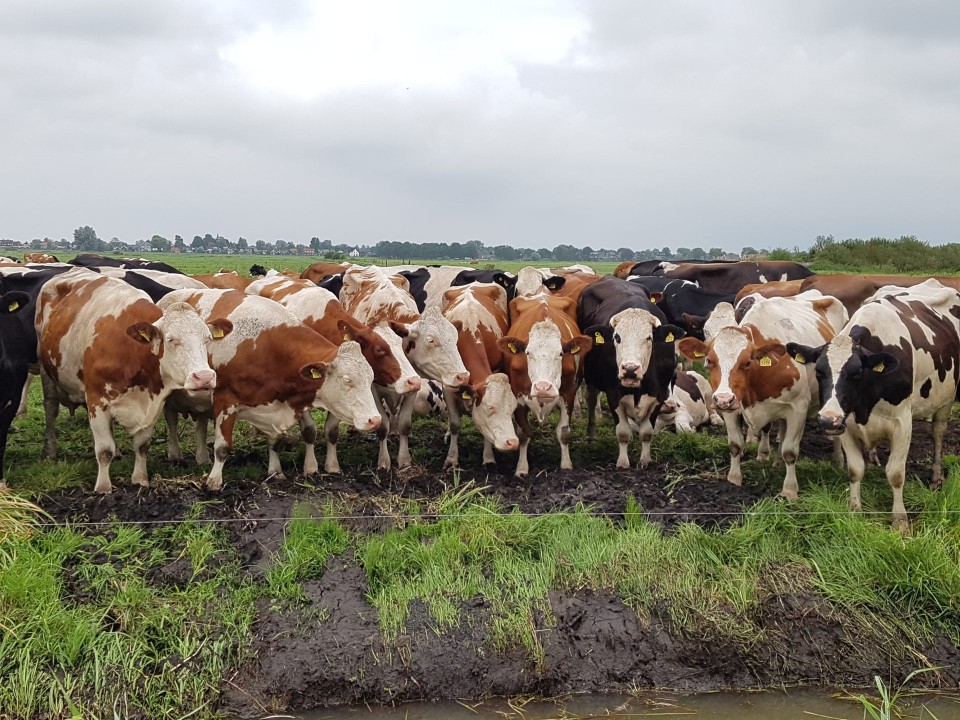 Wachten op een landbouwakkoord? Wachten op een landbouwakkoord?