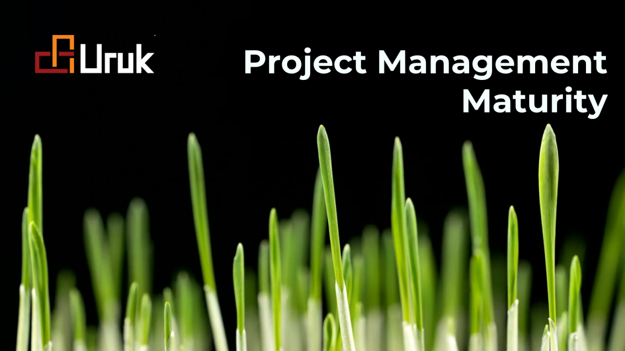 Unlock the secrets to elevating project management maturity! Unlock the secrets to elevating project management maturity!