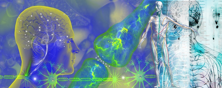 Unveiling the magic hidden within our neuro-programming! Part 4 Unveiling the magic hidden within our neuro-programming! Part 4