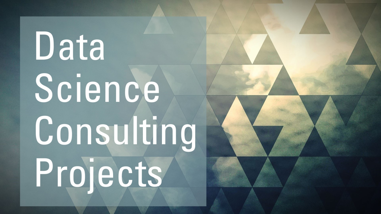 How to Deliver Successful Data Science Consulting Projects How to Deliver Successful Data Science Consulting Projects