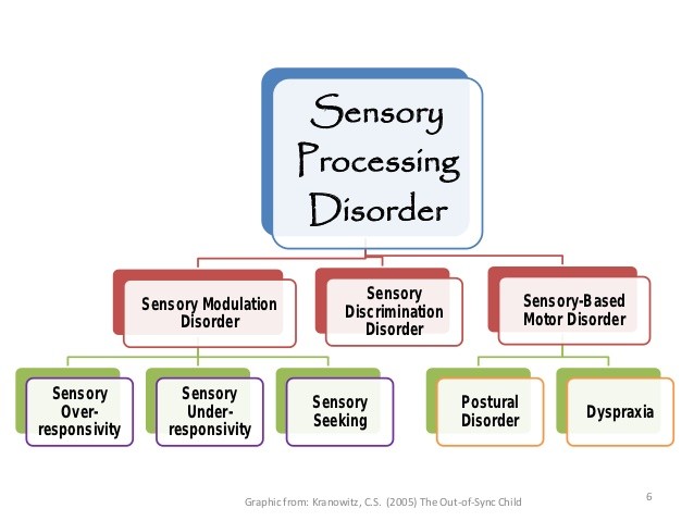 The Three Types of Sensory Processing Disorder The Three Types of Sensory Processing Disorder
