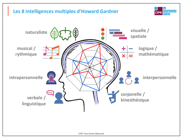 Les intelligences multiples Les intelligences multiples