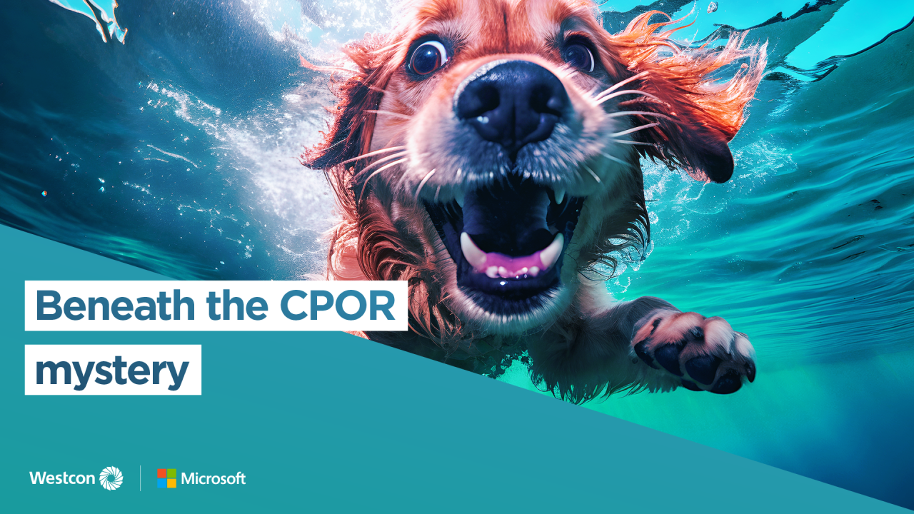 Unlocking the Power of CPOR in the Microsoft Ecosystem Unlocking the Power of CPOR in the Microsoft Ecosystem