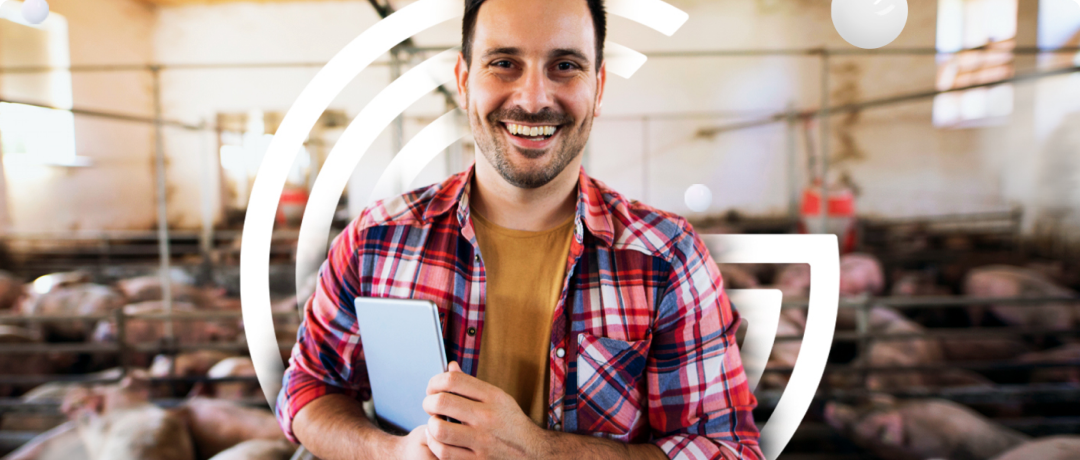Should you consider migrating to e-commerce? Should you consider migrating to e-commerce?