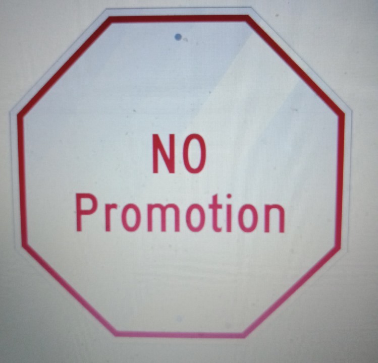 Why you are not promoted-Charles Lebohang Soetsang Why you are not promoted-Charles Lebohang Soetsang