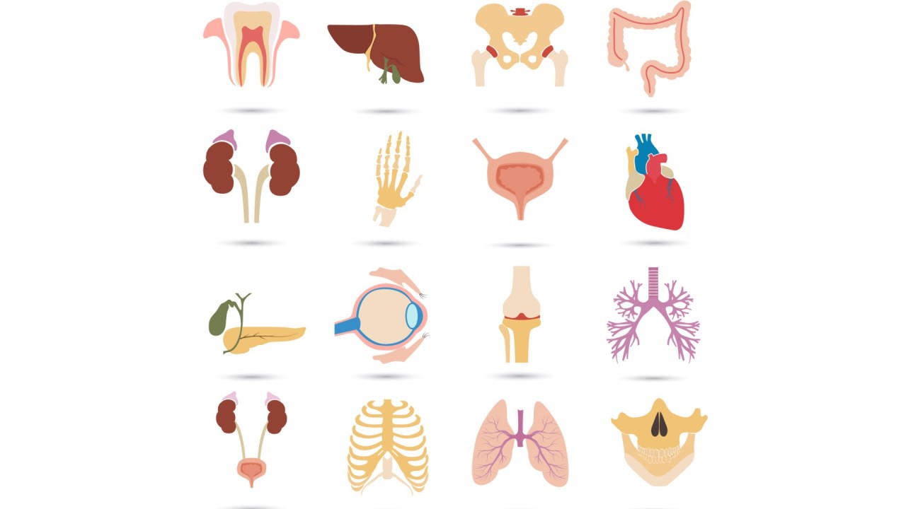 The Importance of Accurate Provider Specialty Segmentation The Importance of Accurate Provider Specialty Segmentation