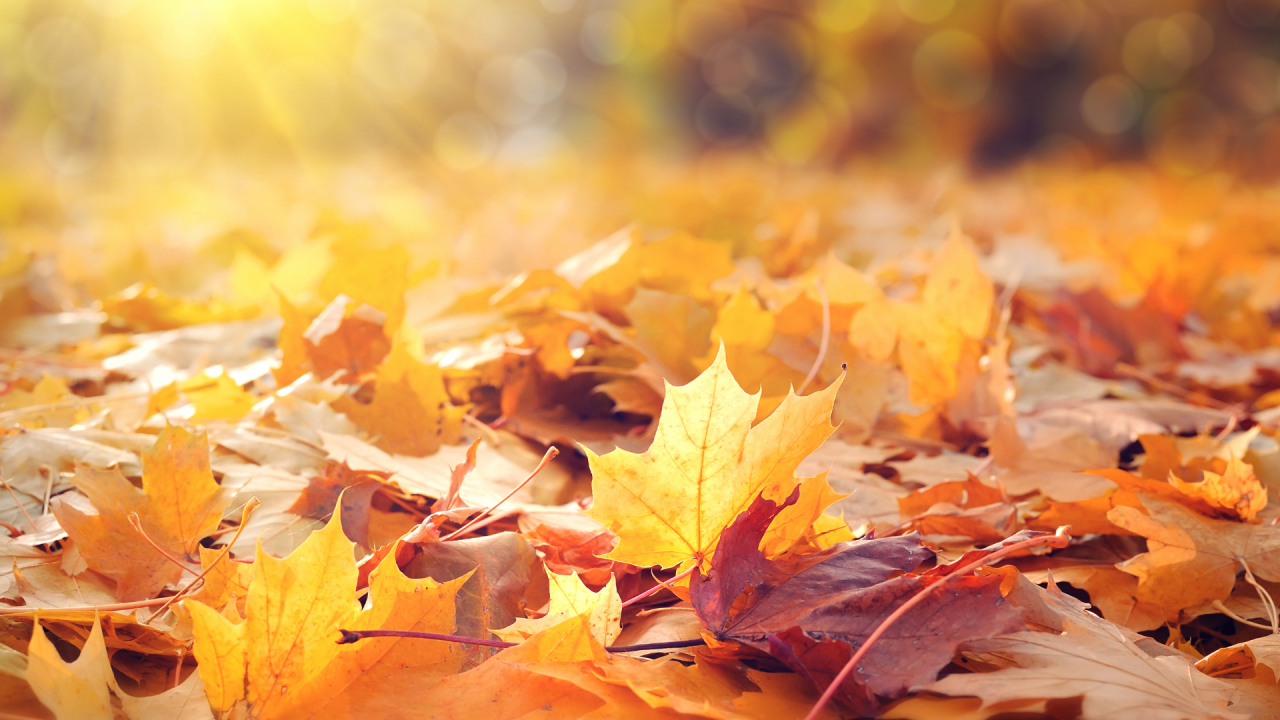 Your September gap insight is here! Your September gap insight is here!