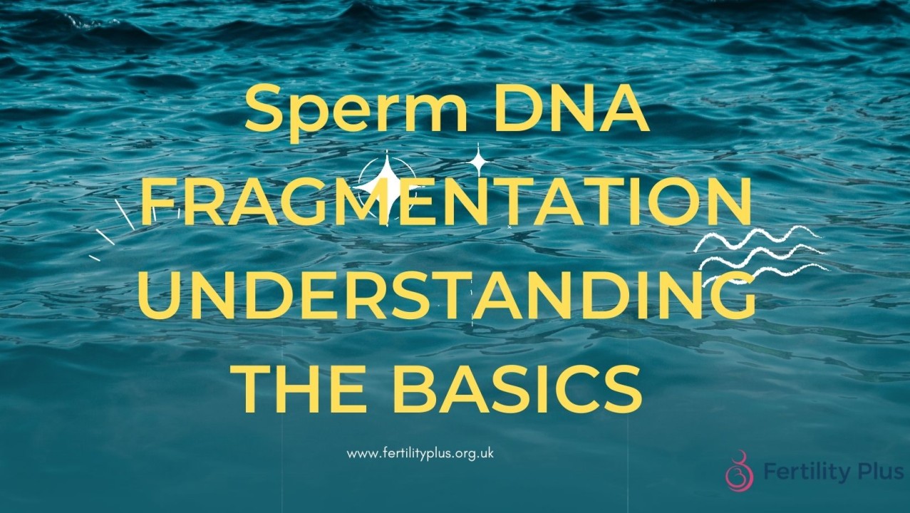 Sperm DNA Fragmentation : Understanding the basics Sperm DNA Fragmentation : Understanding the basics
