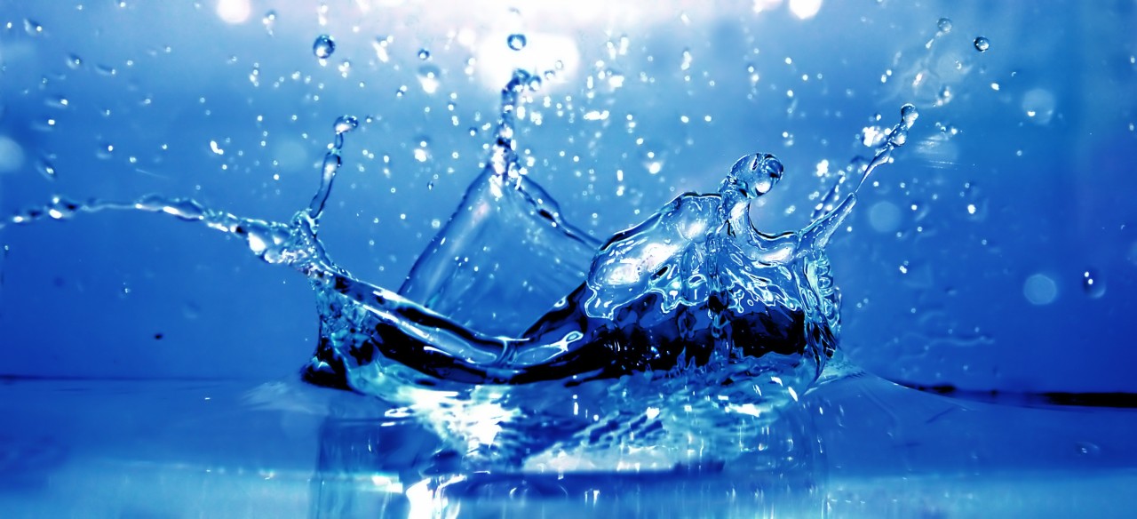 Clean water lines for flock health Clean water lines for flock health