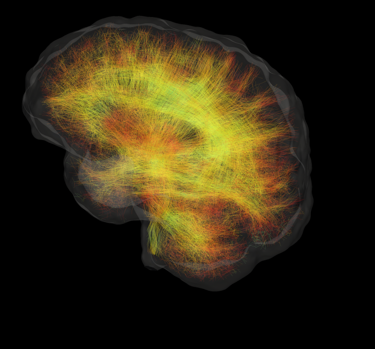 Going deeper into ketotherapeutics research Going deeper into ketotherapeutics research