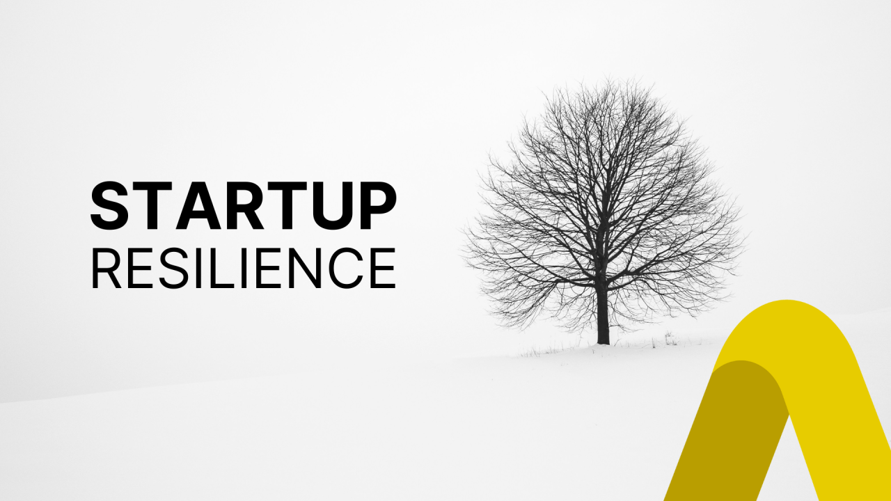 Startup Resilience: Navigating Relationships for Early-Stage Founders Startup Resilience: Navigating Relationships for Early-Stage Founders