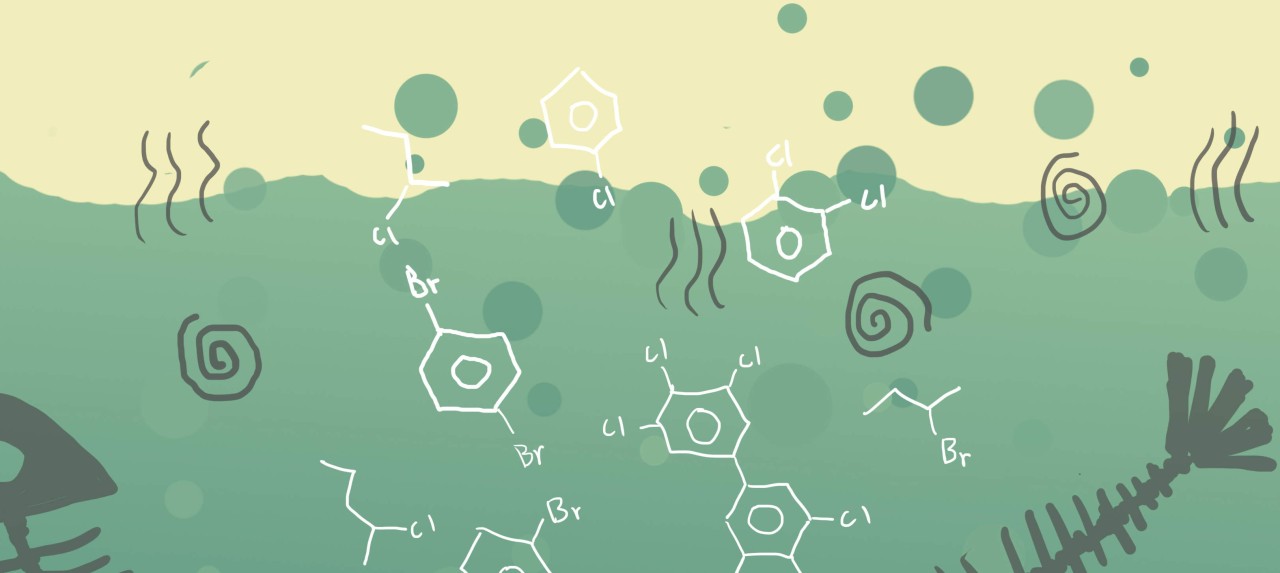 Unlocking the Secrets of Analyzing Halogenated Organic Contaminants Unlocking the Secrets of Analyzing Halogenated Organic Contaminants