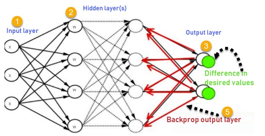 GUIDED BACKPROPAGATION GUIDED BACKPROPAGATION