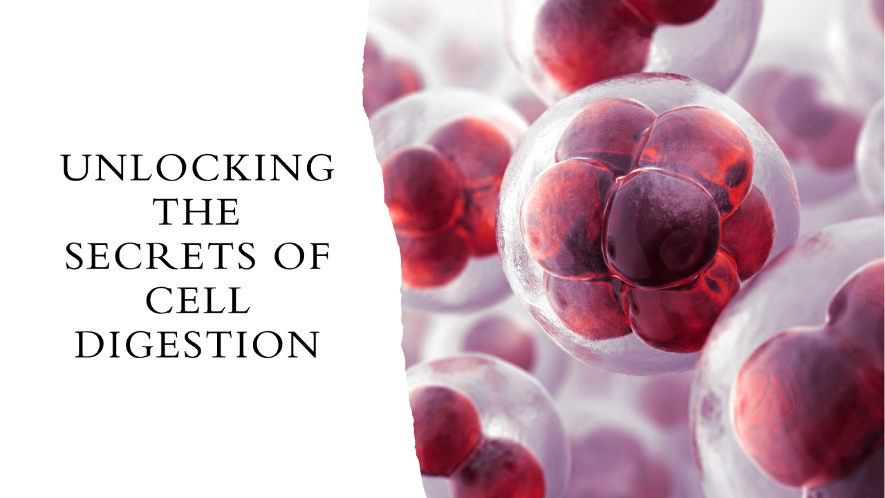 Decoding Cell Digestion:Are Your Cells Ready? Decoding Cell Digestion:Are Your Cells Ready?