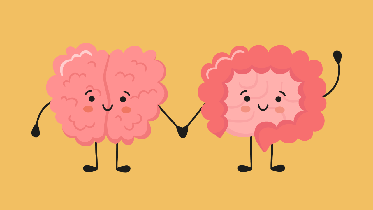 Understanding the Connection Between Gut Health and Mental Health Understanding the Connection Between Gut Health and Mental Health