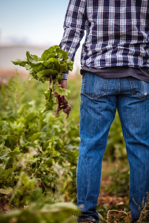 A Farmer's Perspective on Drones with AI: Bridging the Gap Between ... A Farmer's Perspective on Drones with AI: Bridging the Gap Between ...