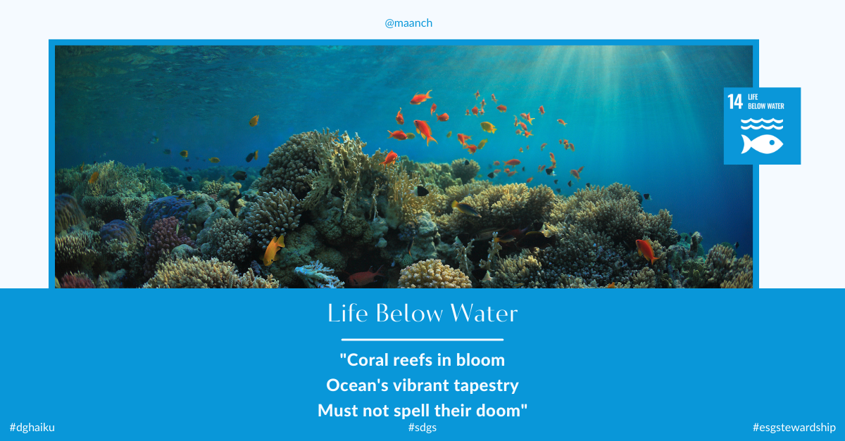 Life Below Water (SDG 14) Life Below Water (SDG 14)