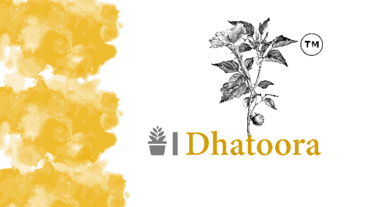 Dhatoora || Pan Aroma Lifestyle And Fragrances Dhatoora || Pan Aroma Lifestyle And Fragrances