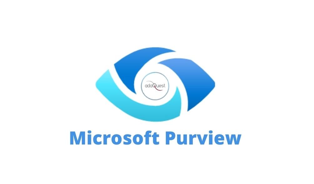 Microsoft Purview: A Leader in Data Security, Price, and ROI Microsoft Purview: A Leader in Data Security, Price, and ROI