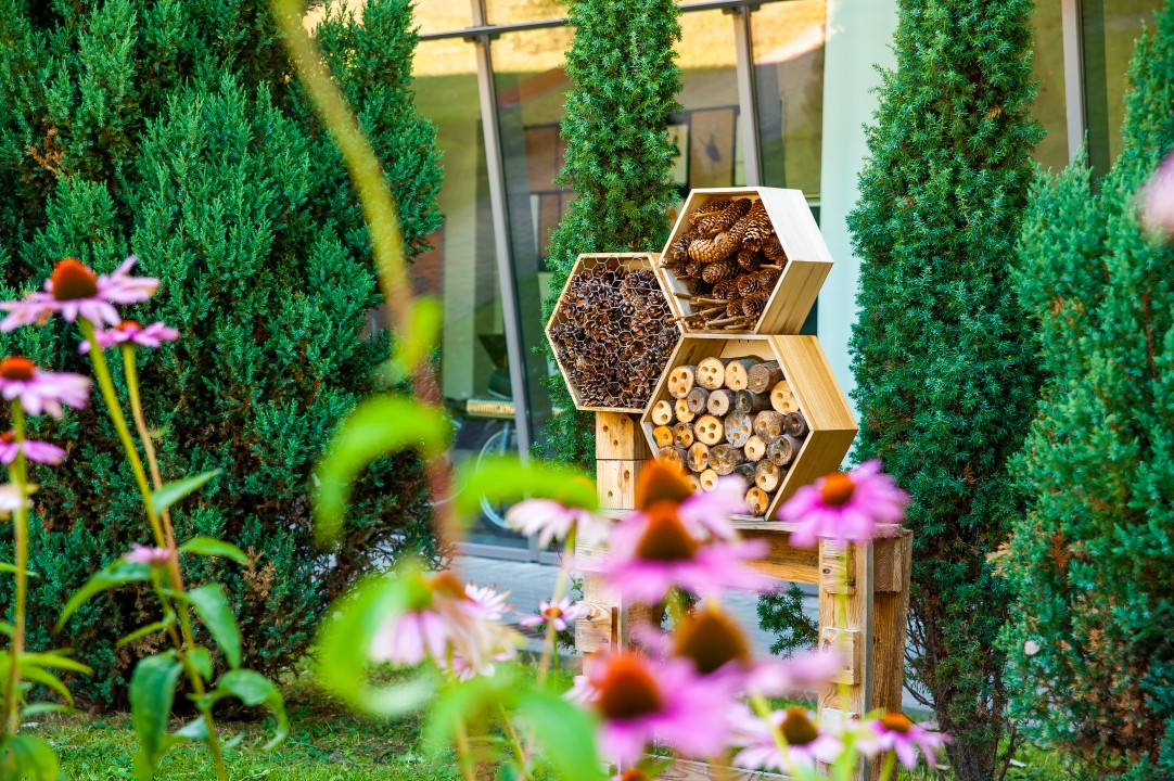 Des bureaux pour reloger la nature Des bureaux pour reloger la nature