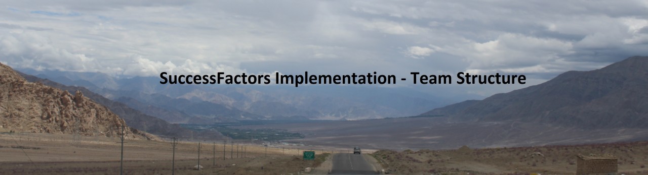 Team Structure - SAP SuccessFactors Implementation Team Structure - SAP SuccessFactors Implementation