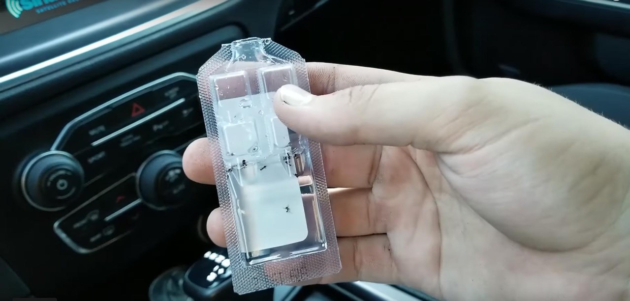 How To Get Rid of Ants In Car: 8 Easy Methods How To Get Rid of Ants In Car: 8 Easy Methods