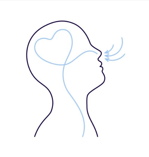 So why the big fuss about Nose Breathing So why the big fuss about Nose Breathing