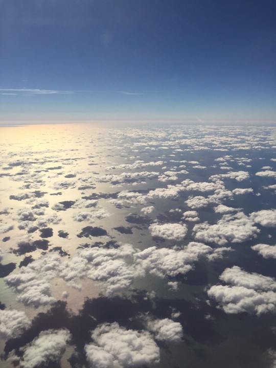 Navigating Workplace Visibility for Introverts - some ideas Navigating Workplace Visibility for Introverts - some ideas
