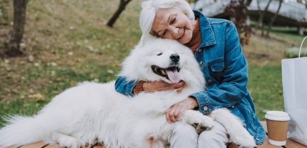 Protecting your pets: How to make financial provisions in a will or trust Protecting your pets: How to make financial provisions in a will or trust