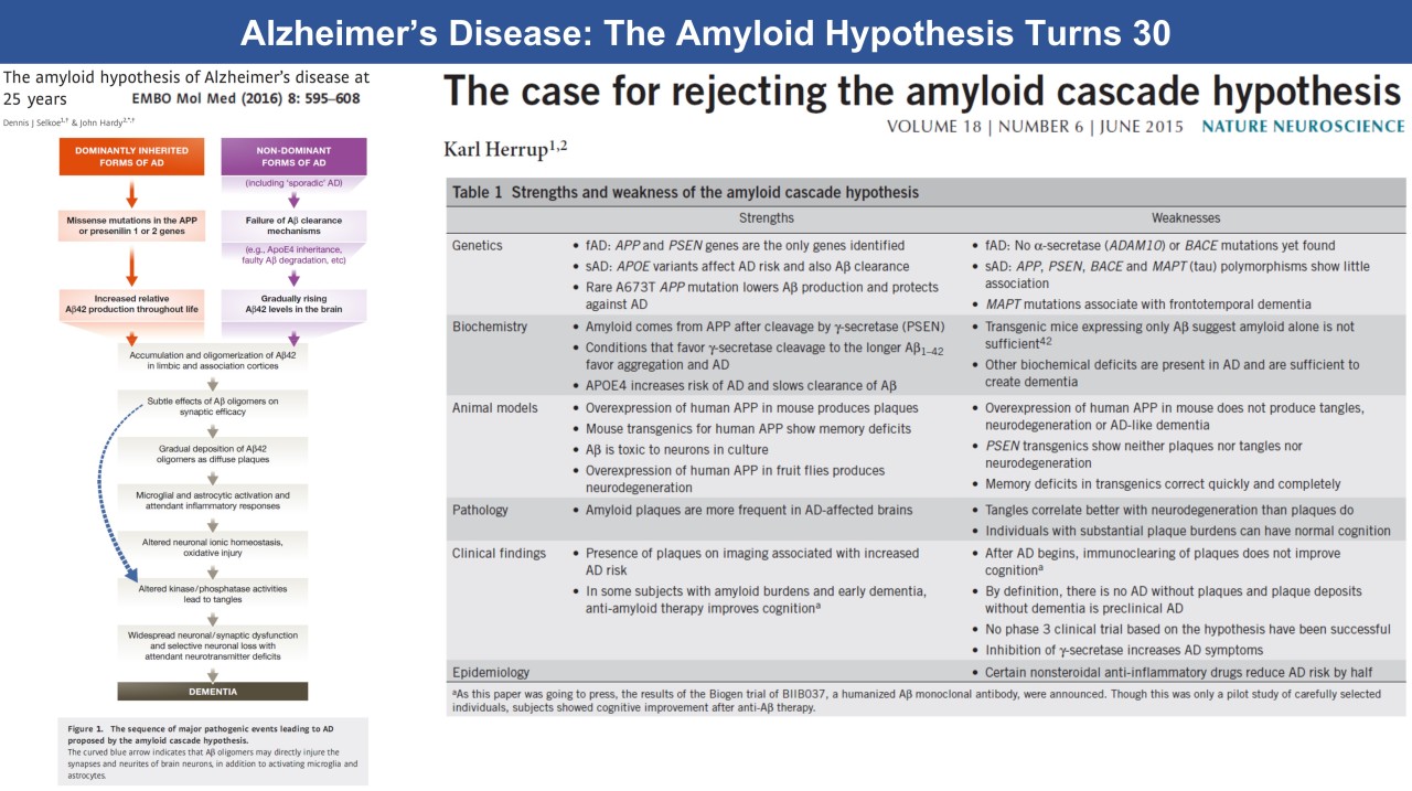 Alzheimer's Disease: The Amyloid Cascade Hypothesis Turns 30 Alzheimer's Disease: The Amyloid Cascade Hypothesis Turns 30