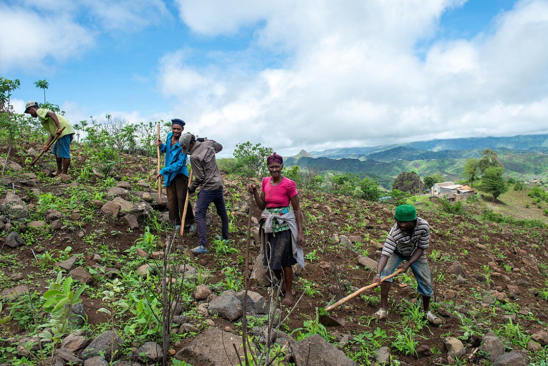 Indigenous/traditional Knowledge and Biodiversity Conservation Indigenous/traditional Knowledge and Biodiversity Conservation