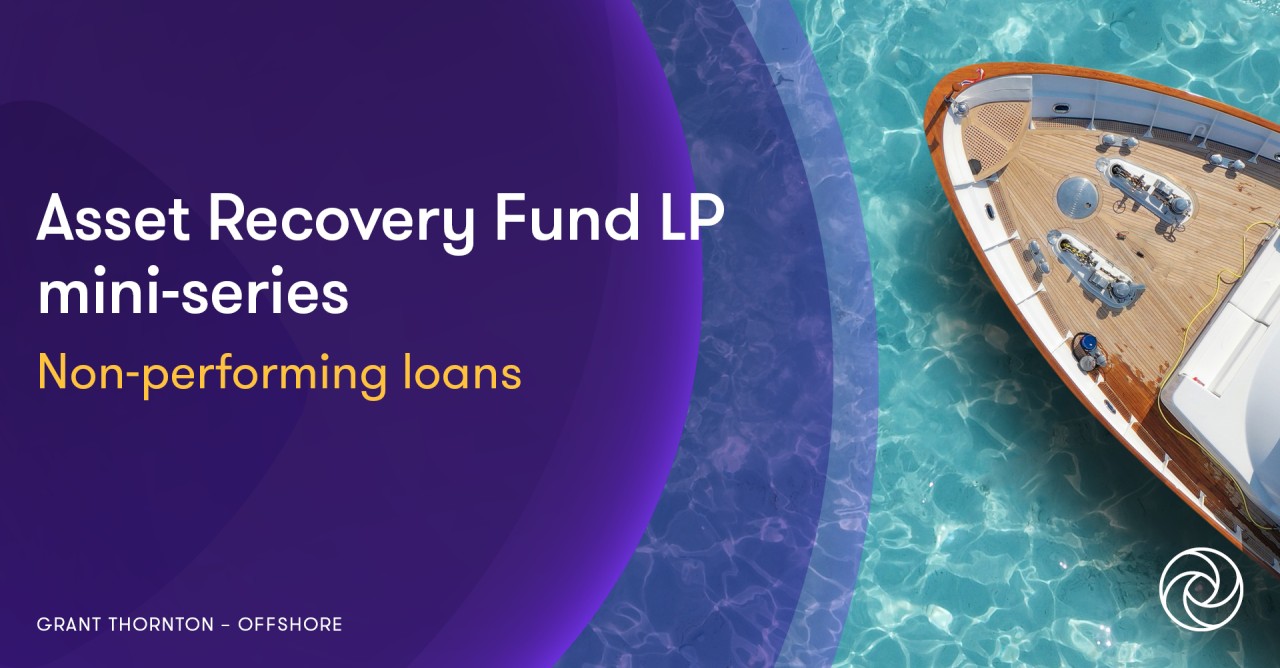 Non-performing loans Non-performing loans