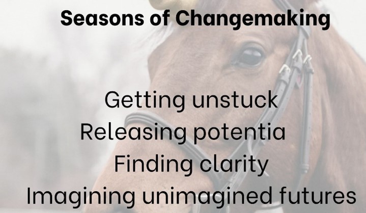 Finding Clarity Finding Clarity