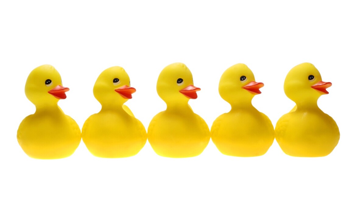 The Best Way To Create Alignment In Your Organisation The Best Way To Create Alignment In Your Organisation
