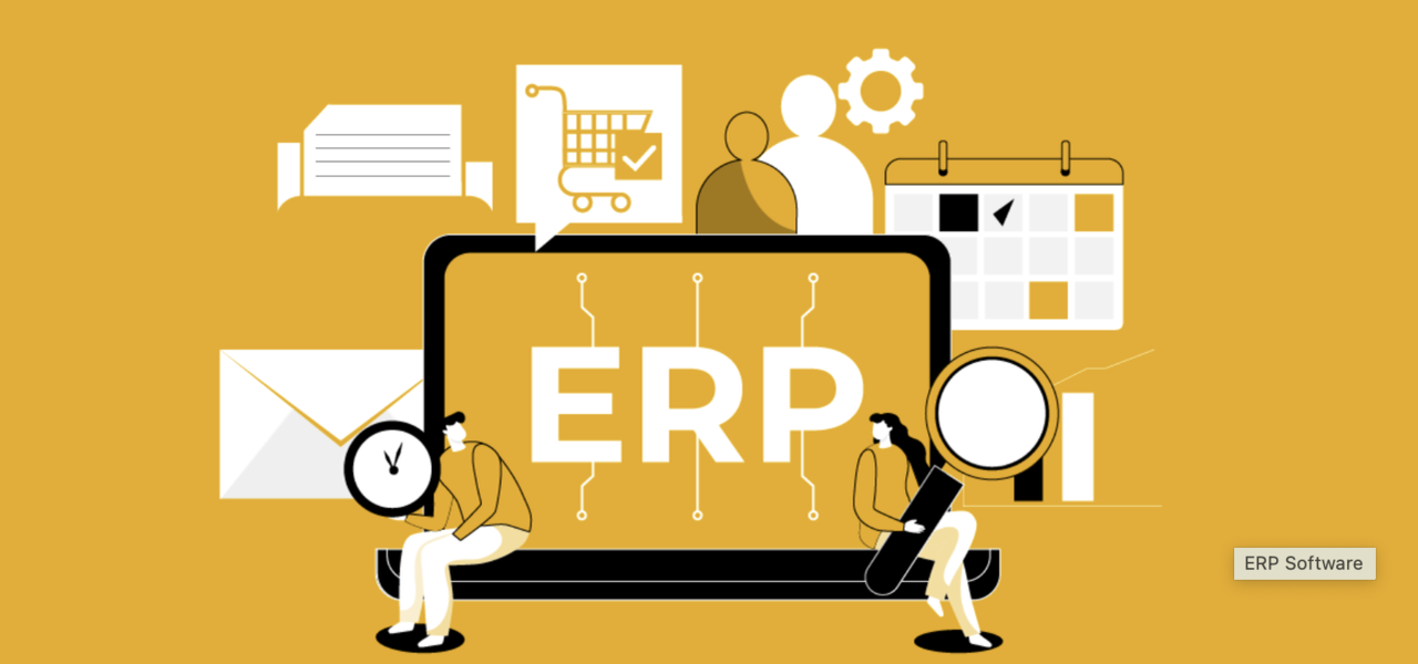 Global ERP (Ready-Made International ERP) vs Locally Developed ERP Global ERP (Ready-Made International ERP) vs Locally Developed ERP