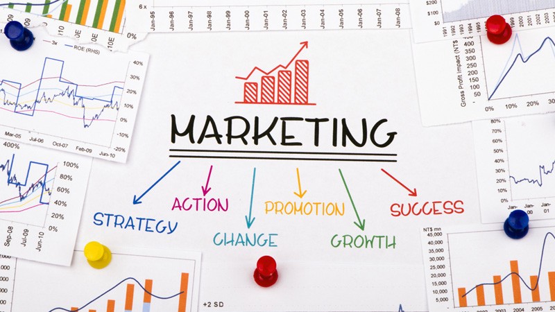 Embrace Marketing Education: Your Pathway to Success Embrace Marketing Education: Your Pathway to Success