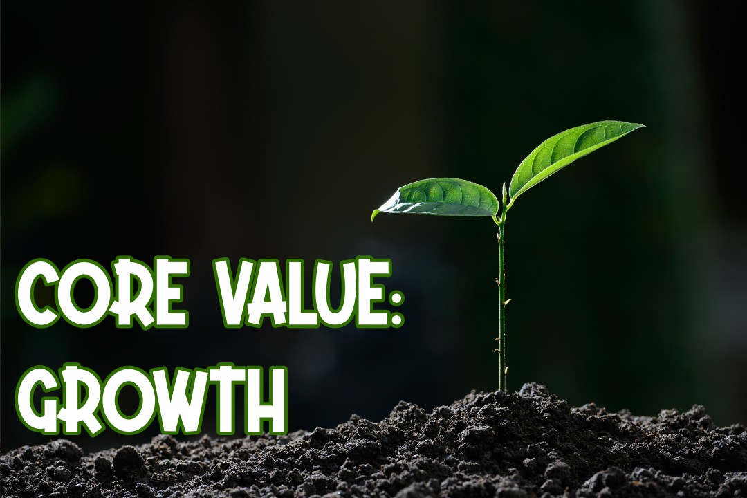 Core Value #3 Growth: Investing in a Lifetime of Learning Core Value #3 Growth: Investing in a Lifetime of Learning