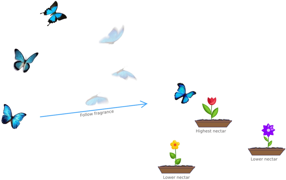 Butterfly Optimization Algorithms Butterfly Optimization Algorithms