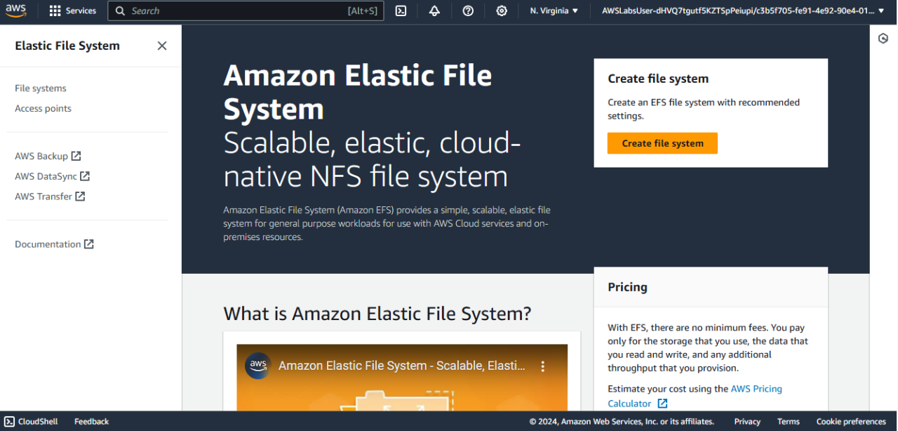 Create an Amazon Elastic File System ( EFS) in the cloud to deploy and ... Create an Amazon Elastic File System ( EFS) in the cloud to deploy and ...