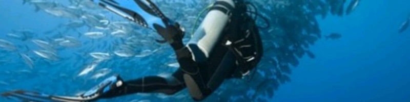 Les Briggs MB ChB, PHD on LinkedIn: Elon Musk's xAI open sources its ... Les Briggs MB ChB, PHD on LinkedIn: Elon Musk's xAI open sources its ...