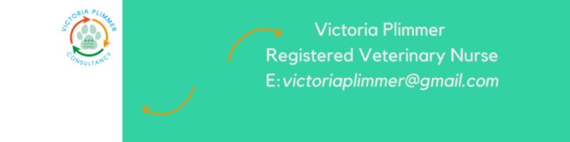 Victoria Plimmer on LinkedIn: 2024 Algorithms & Drug Charts - RECOVER ... Victoria Plimmer on LinkedIn: 2024 Algorithms & Drug Charts - RECOVER ...