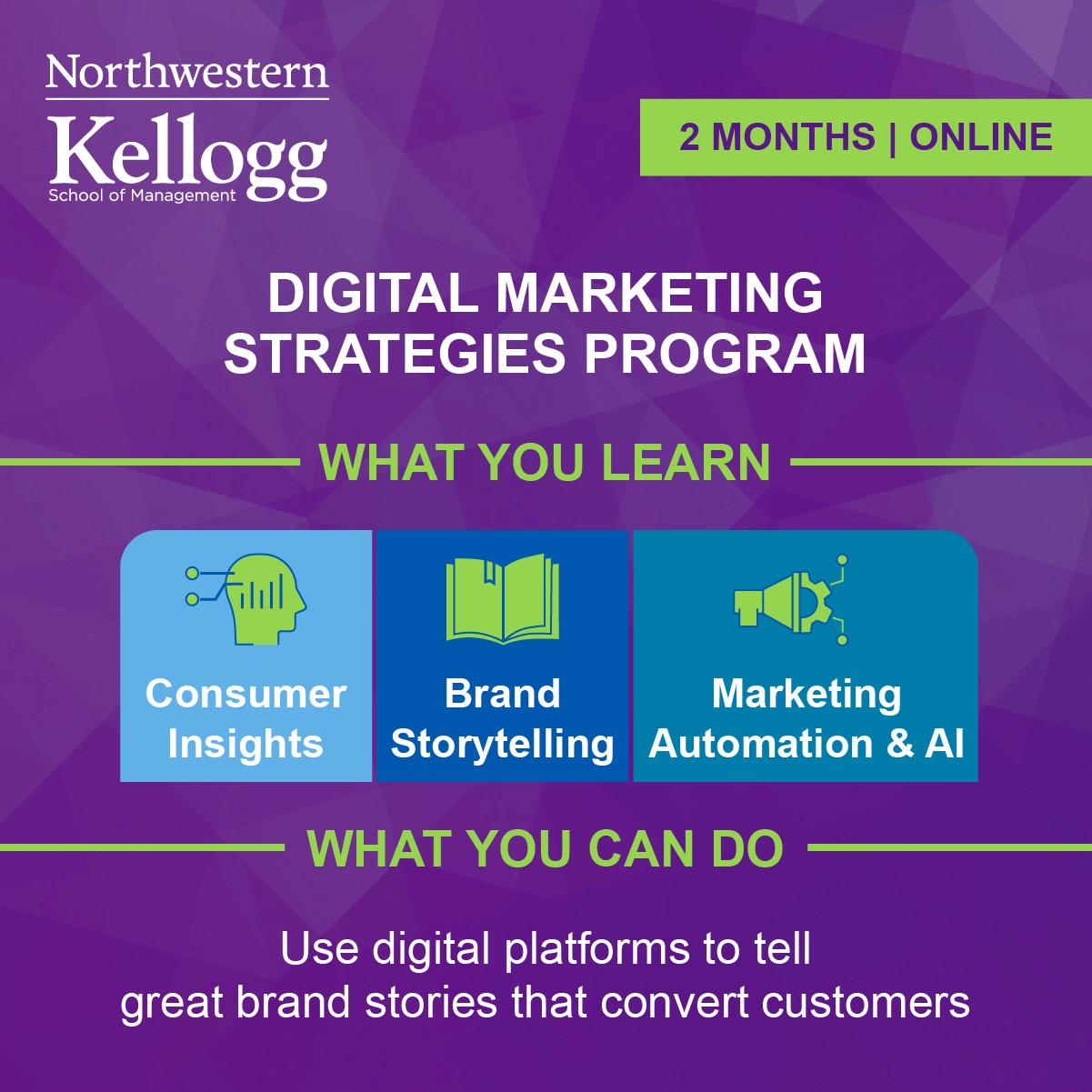 Kellogg Digital Marketing Strategies Program on LinkedIn: Digital ... Kellogg Digital Marketing Strategies Program on LinkedIn: Digital ...