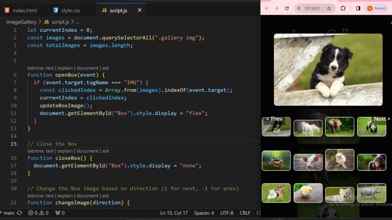 Launching my new image gallery with HTML, CSS, and JavaScript | Akash ... Launching my new image gallery with HTML, CSS, and JavaScript | Akash ...