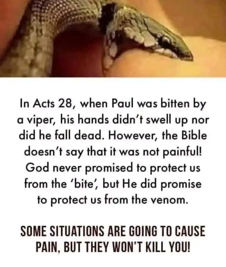 Moses Popescu on LinkedIn: Fear not, The Lord will guide you through ... Moses Popescu on LinkedIn: Fear not, The Lord will guide you through ...